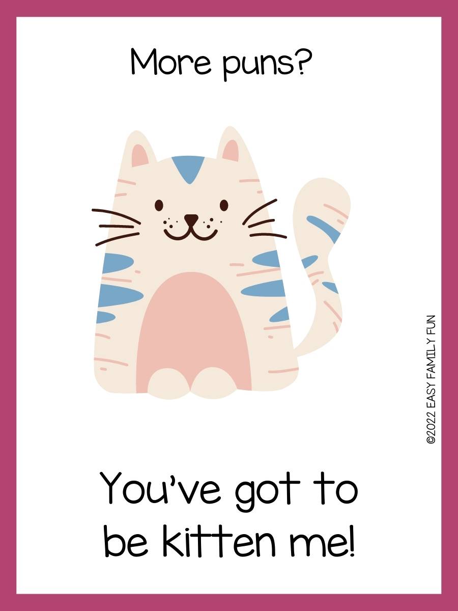 160 Awesome Cat Puns Are Purr-fect!