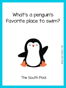 85 Perfect Penguin Riddles
