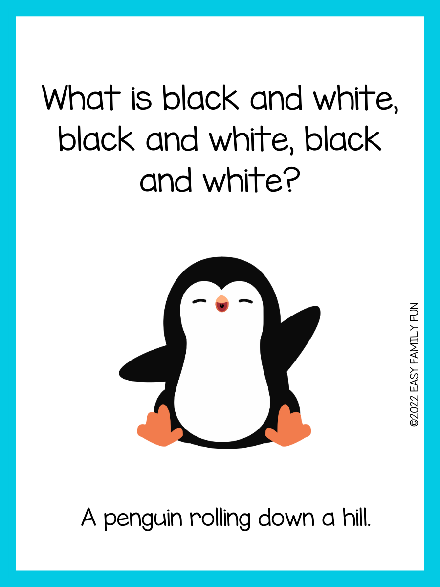 85 Perfect Penguin Riddles