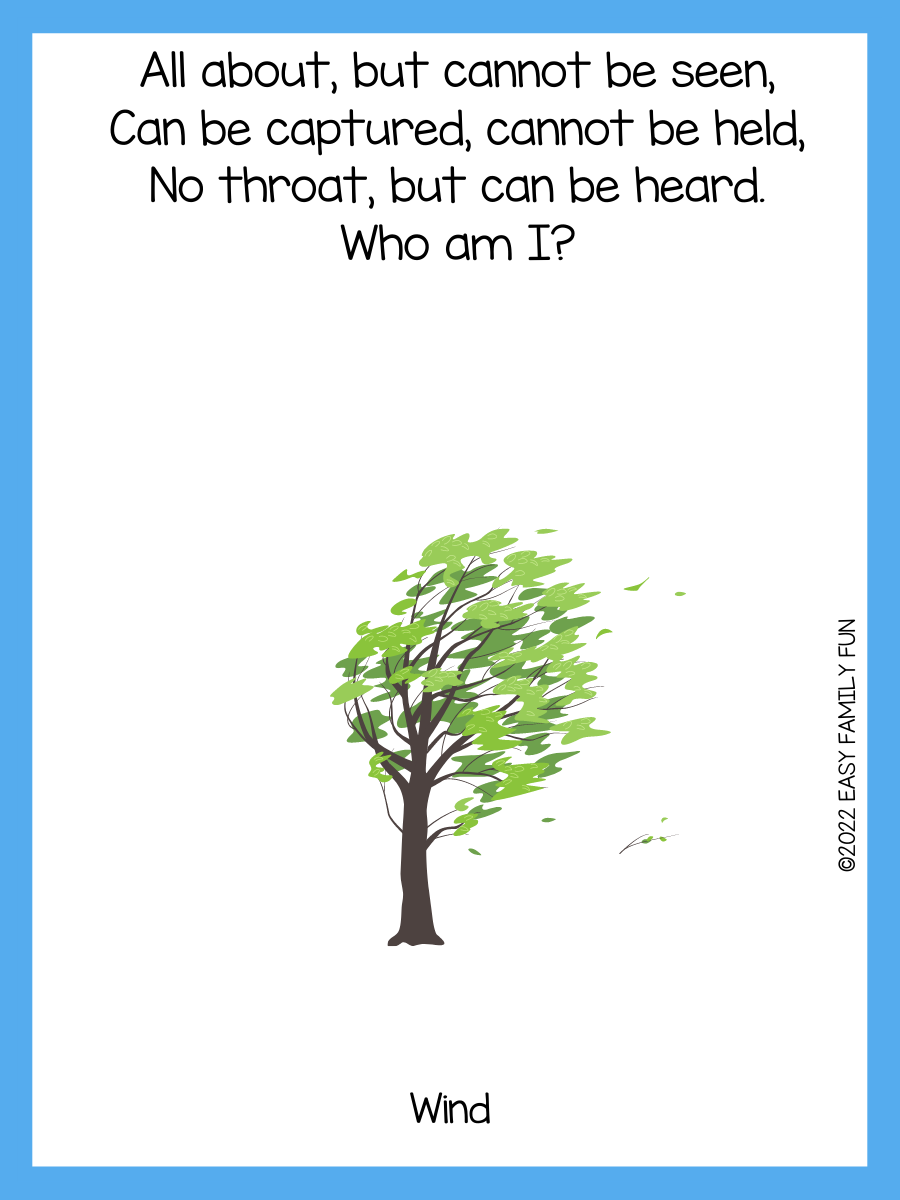 25 Best Wind Riddles