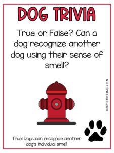 The Best Dog Trivia Questions with Answers