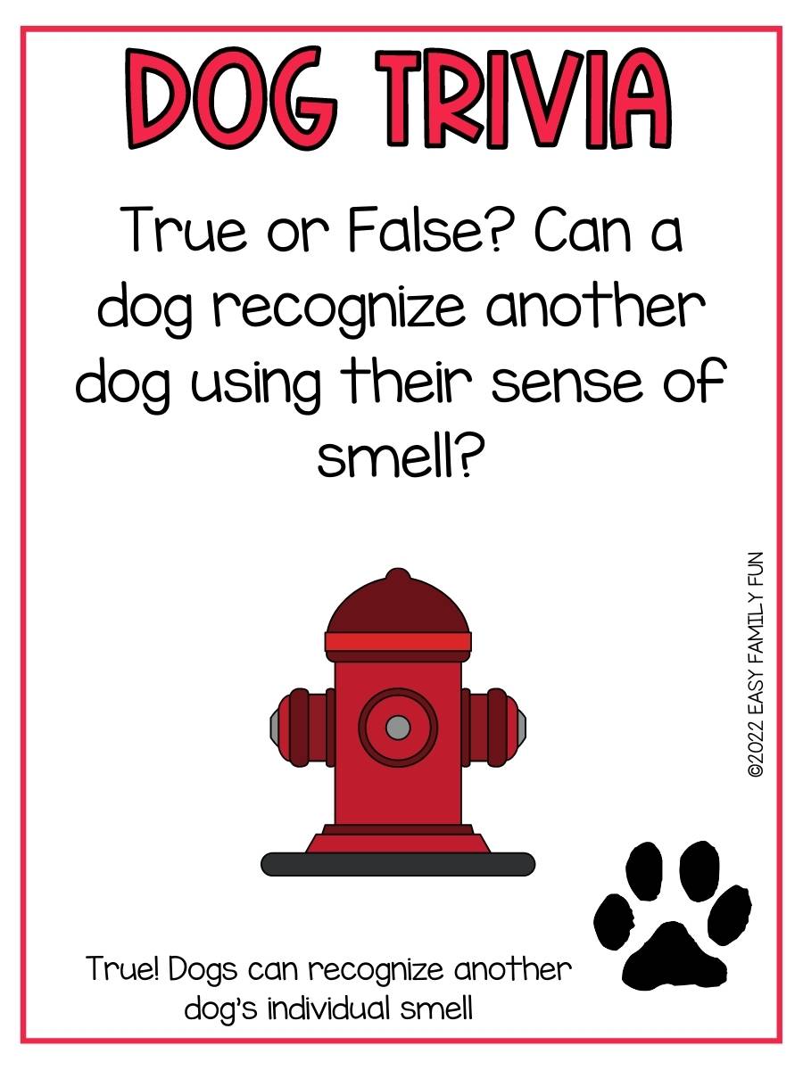 The Best Dog Trivia Questions with Answers