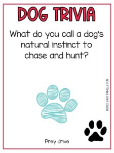 The Best Dog Trivia Questions with Answers