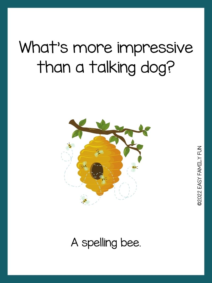 205 Awesome Bee Jokes To Make You LOL
