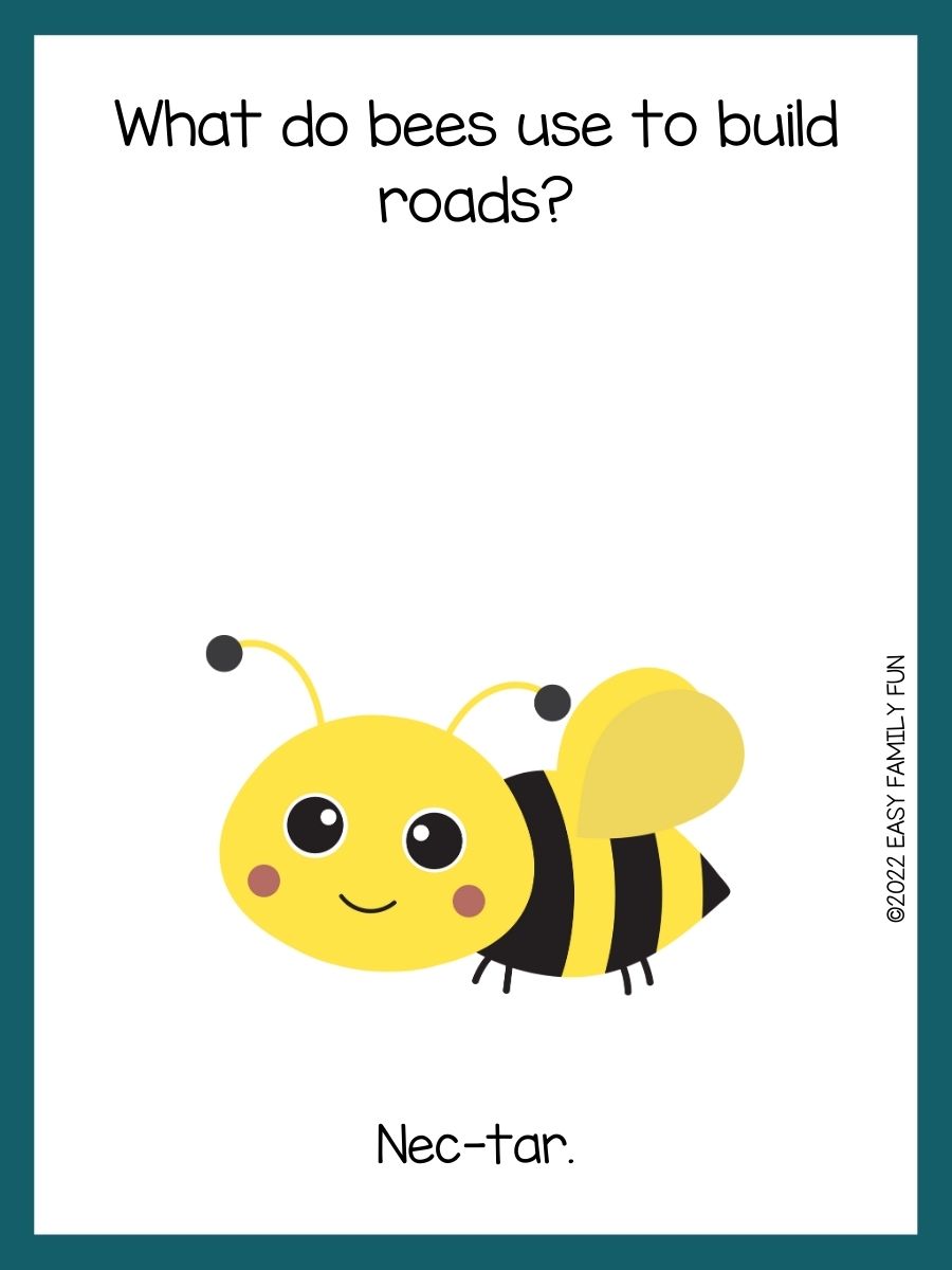 205 Awesome Bee Jokes To Make You LOL