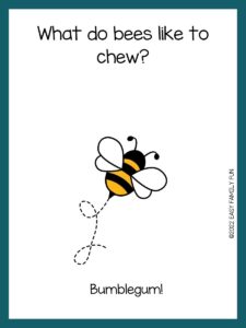 205 Awesome Bee Jokes To Make You LOL