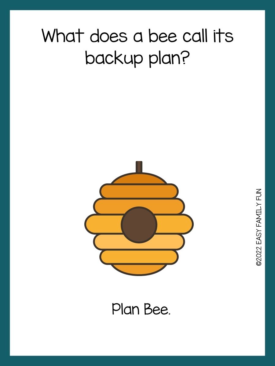 205 Awesome Bee Jokes To Make You LOL