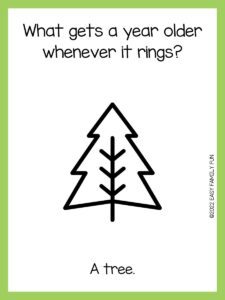 55 Best Tree Riddles With Answers