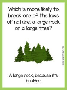 55 Best Tree Riddles With Answers