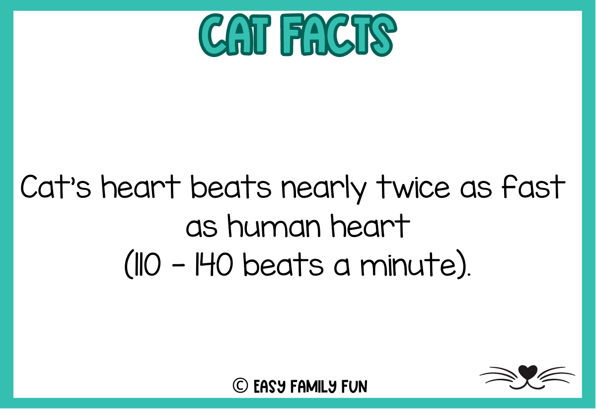 100 Purr-fectly Delightful Facts About Cats