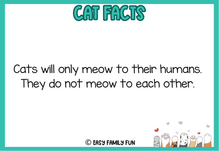 100 Purr-fectly Delightful Facts About Cats