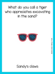 160+ Beach Riddles - Easy Family Fun- Games, Trivia, and Jokes