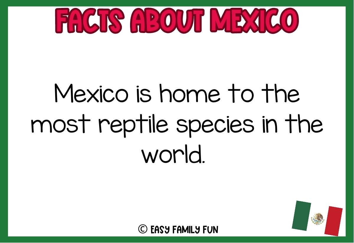 100 Fascinating Facts About Mexico