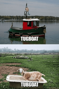 40 Funny Boat Memes - Easy Family Fun- Print-and-Play Family Fun Hub