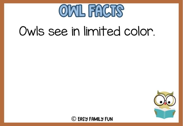 87 Fascinating Facts About Owls