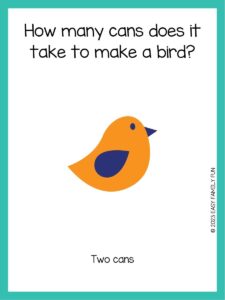 100 Hilarious Bird Jokes To Make You Tweet With Laughter