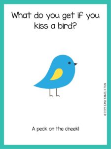 100 Hilarious Bird Jokes To Make You Tweet With Laughter