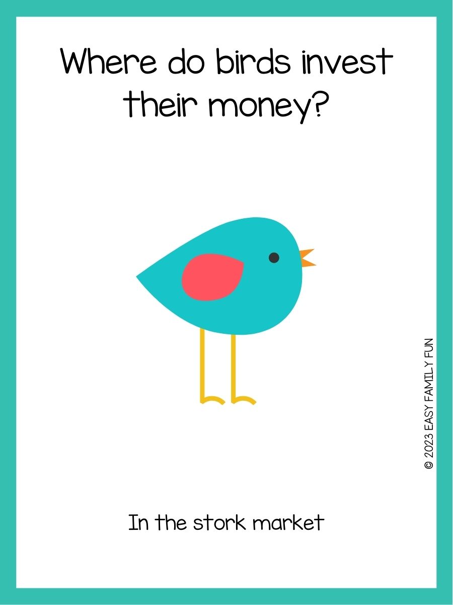 100 Hilarious Bird Jokes To Make You Tweet With Laughter