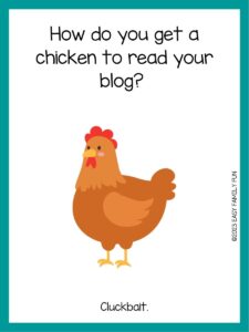 100+ Best Chicken Jokes That Make You Cluck With Laughter