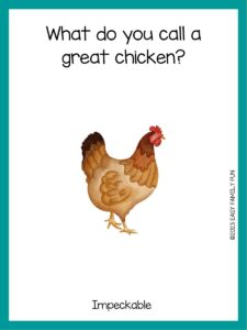 100+ Best Chicken Jokes That Make You Cluck With Laughter