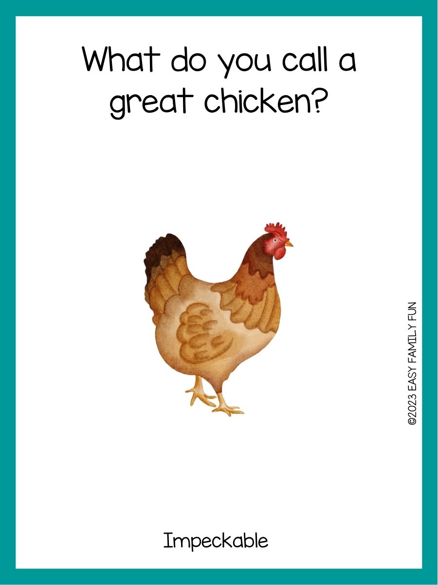 100+ Best Chicken Jokes That Make You Cluck With Laughter