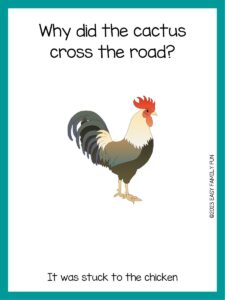 100+ Best Chicken Jokes That Make You Cluck With Laughter