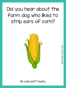 125 Corn Jokes - Easy Family Fun- Print-and-Play Family Fun Hub