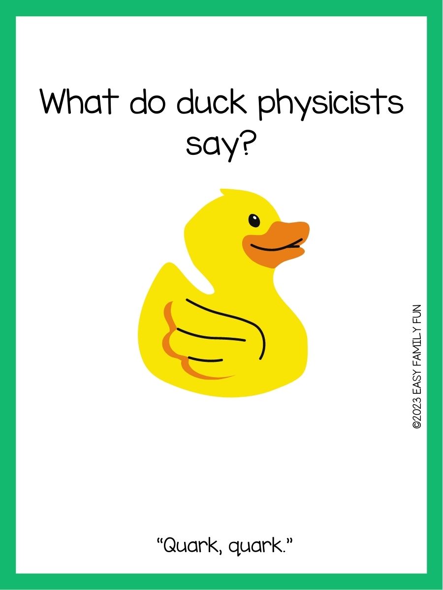 125 Duck Jokes That Make You Quack With Laughs