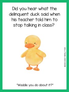 125 Duck Jokes That Make You Quack With Laughs