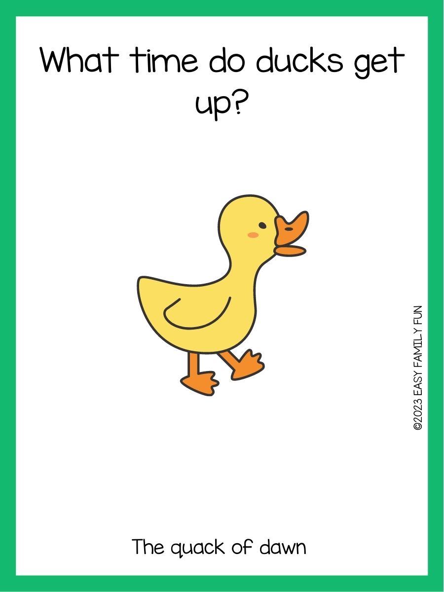 125 Duck Jokes That Make You Quack With Laughs