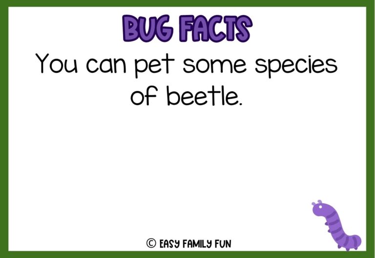 100 Epic Bug Facts for Kids