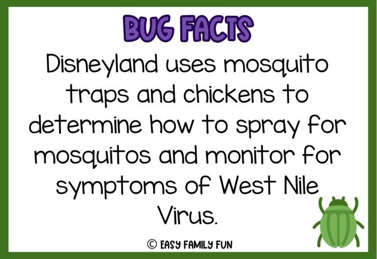 100 Epic Bug Facts For Kids 100 Epic Bug Facts For Kids