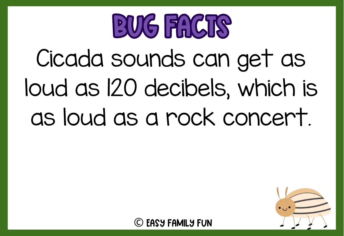 100 Epic Bug Facts for Kids