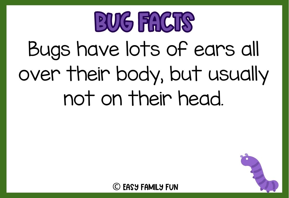 100 Epic Bug Facts for Kids