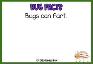 100 Epic Bug Facts for Kids
