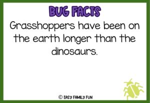 100 Epic Bug Facts for Kids