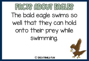 50 Fascinating Facts About Eagles