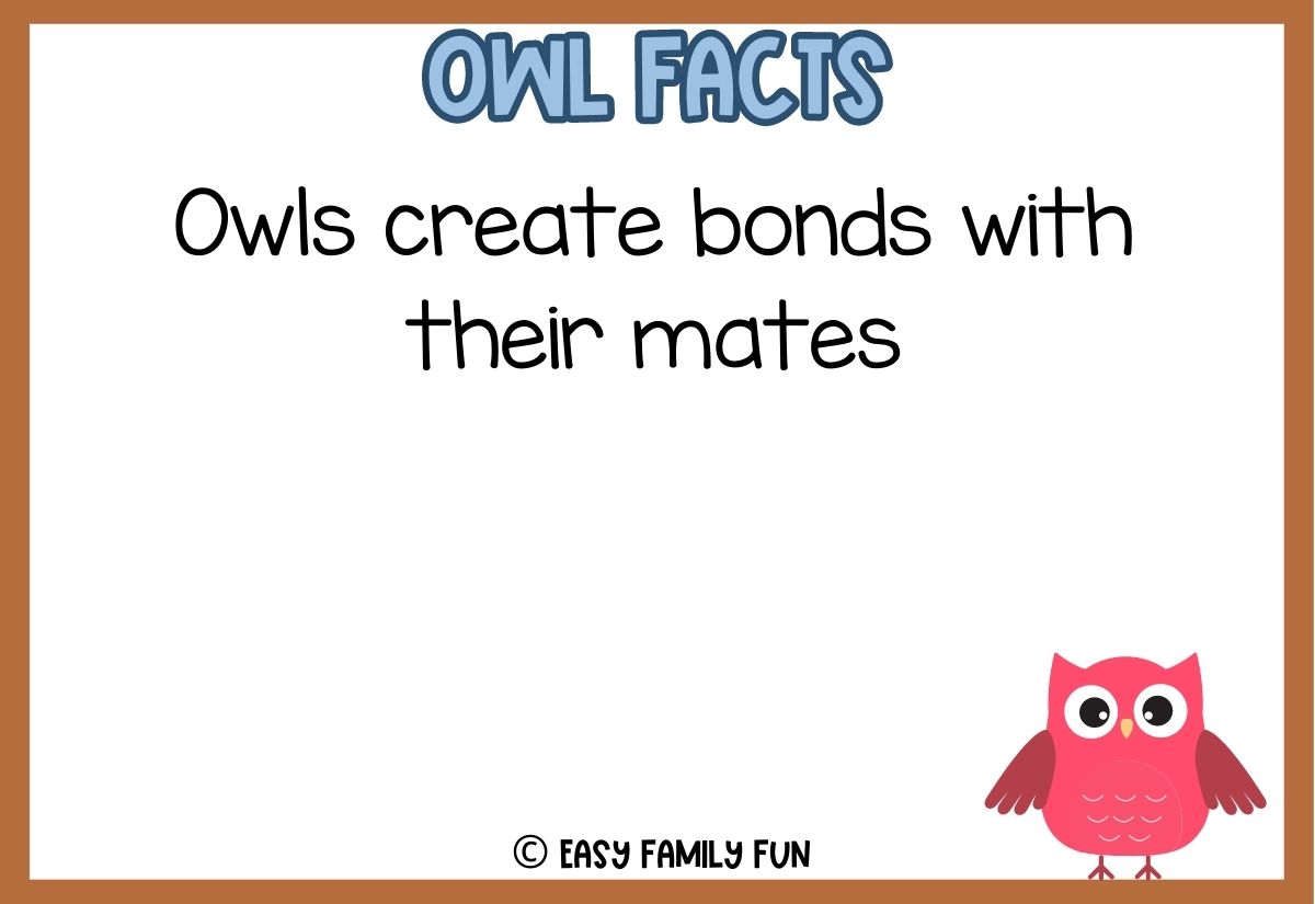 87 Fascinating Facts About Owls