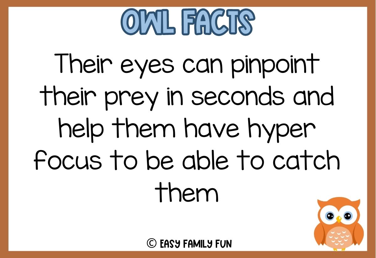 87 Fascinating Facts About Owls