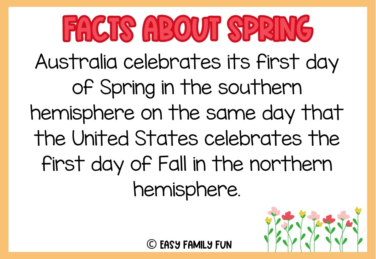 Facts About Spring