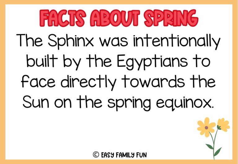 Facts About Spring