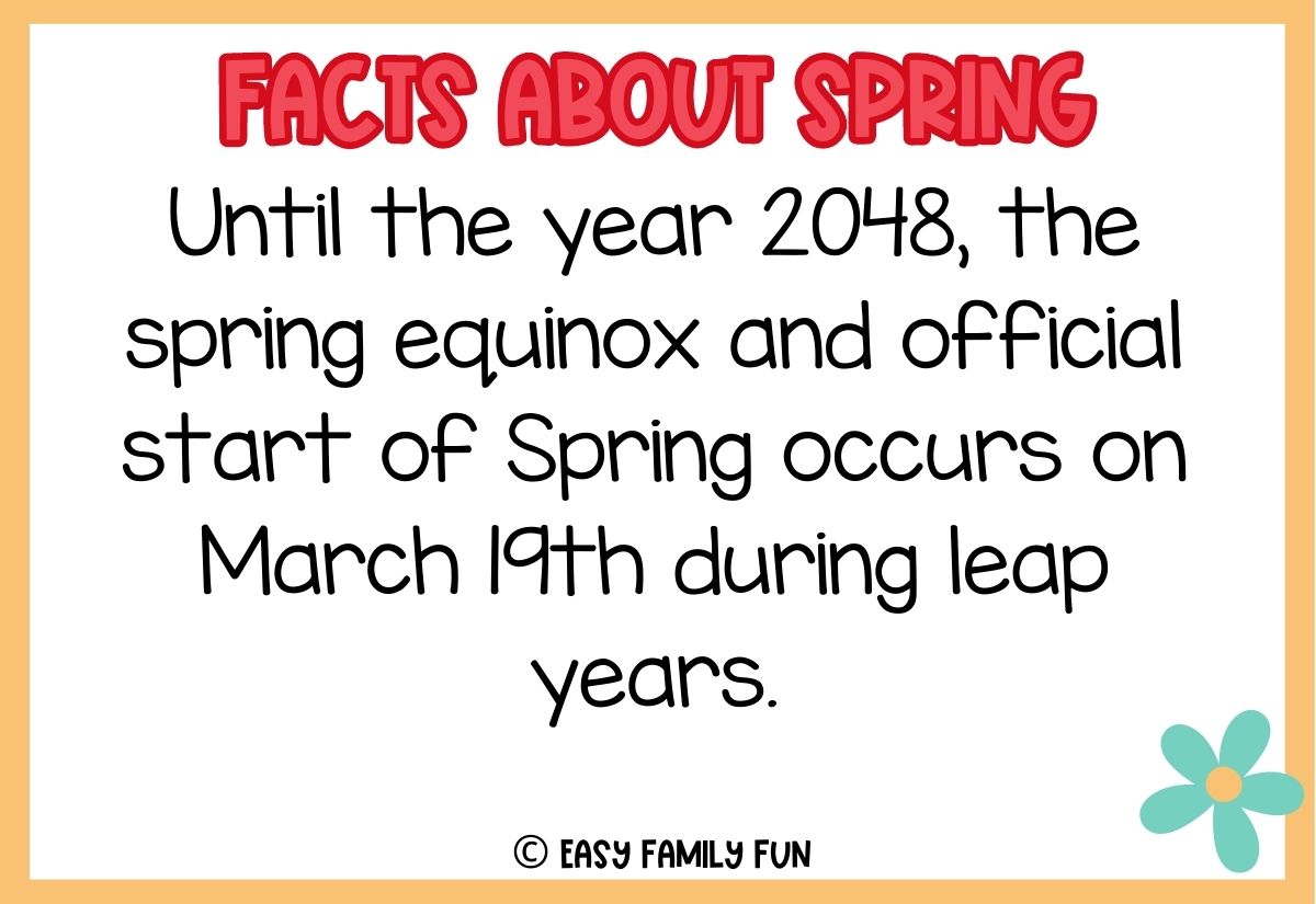 Facts About Spring