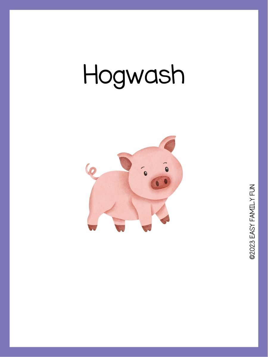 115+ Funny Pig Names That Make You Oink