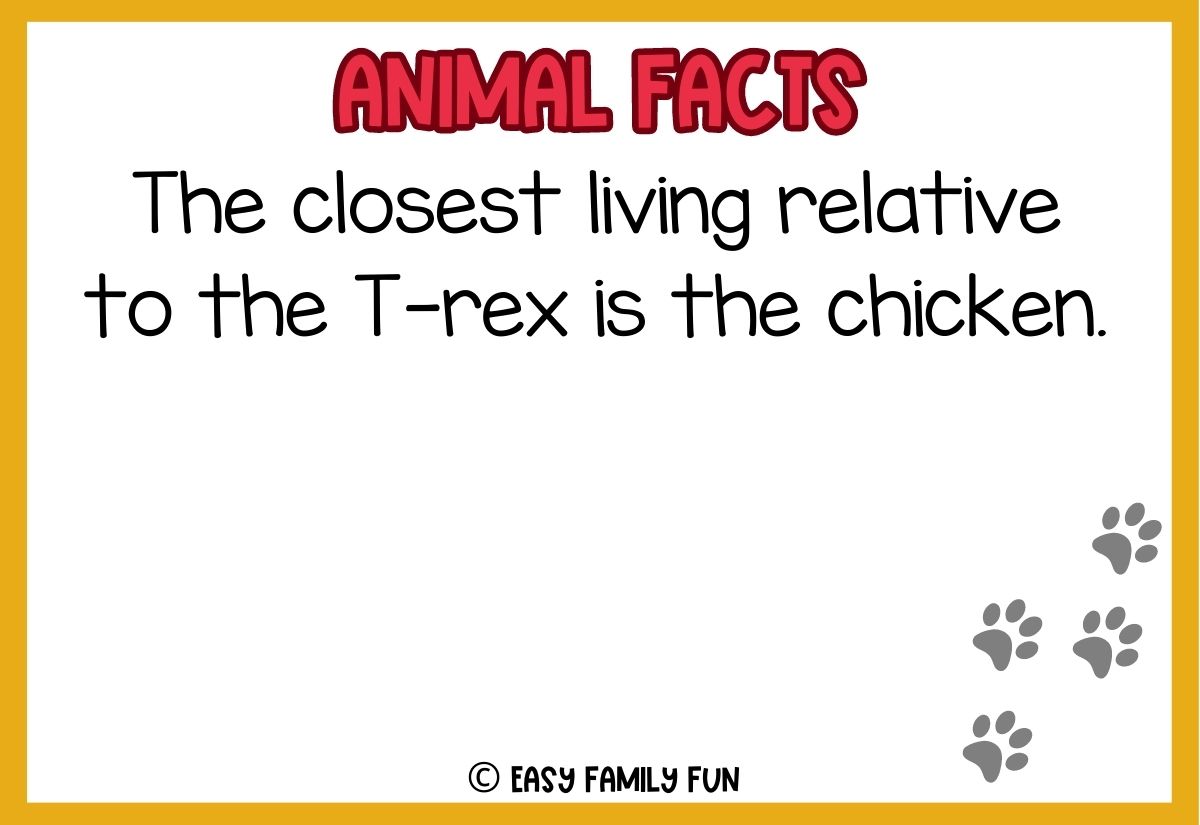 100 Weird Facts About Animals for Kids