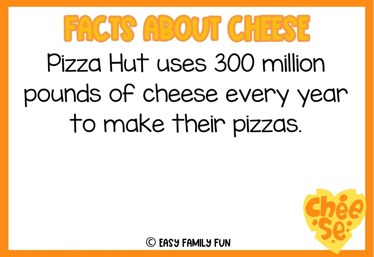 100 Best Facts About Cheese For Kids