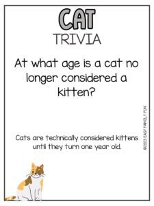 65 Captivating Cat Trivia Questions and Answers