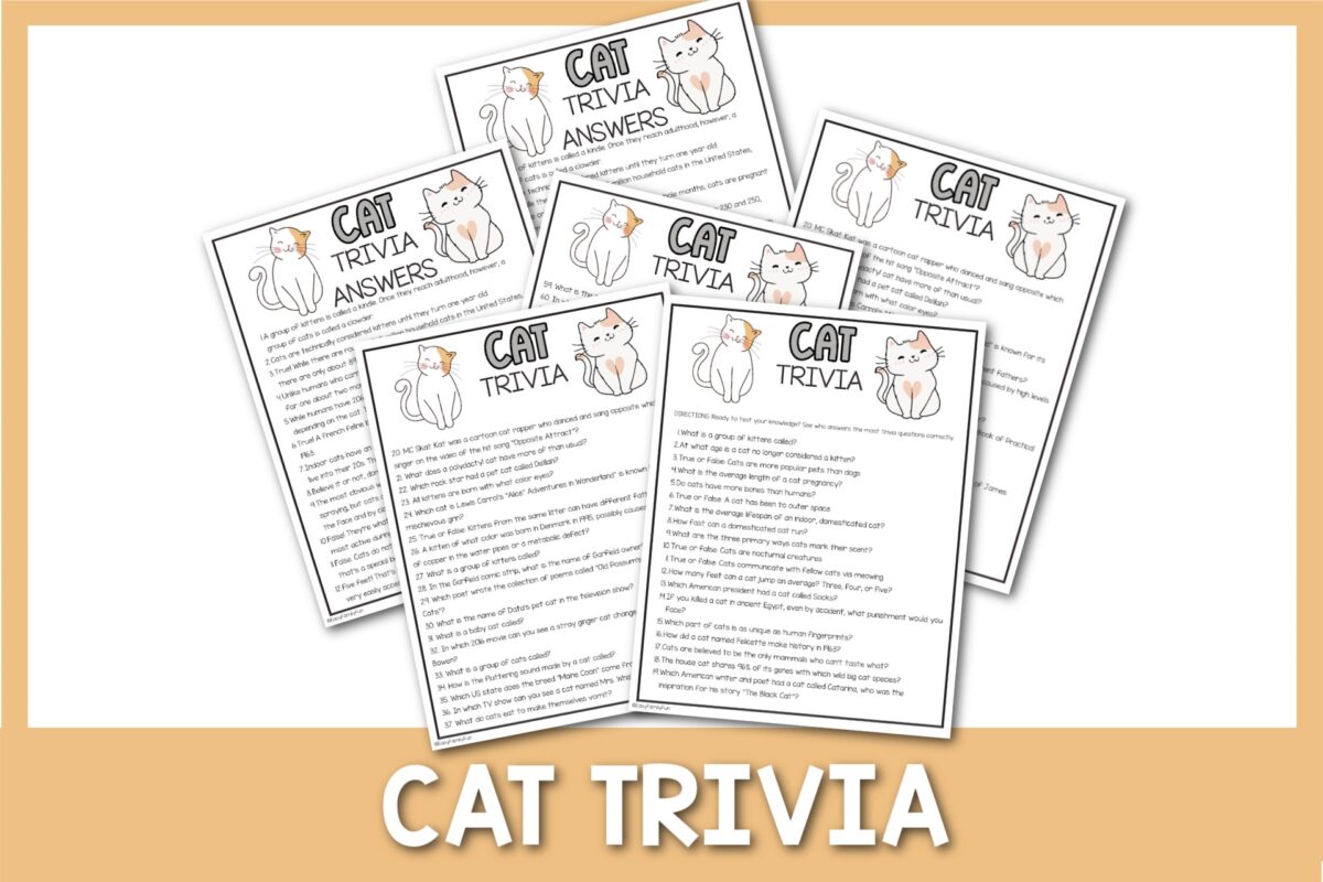 65 Captivating Cat Trivia Questions and Answers