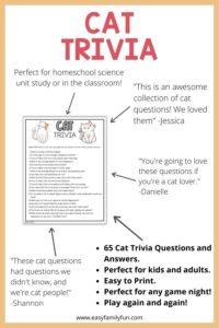 65 Captivating Cat Trivia Questions and Answers