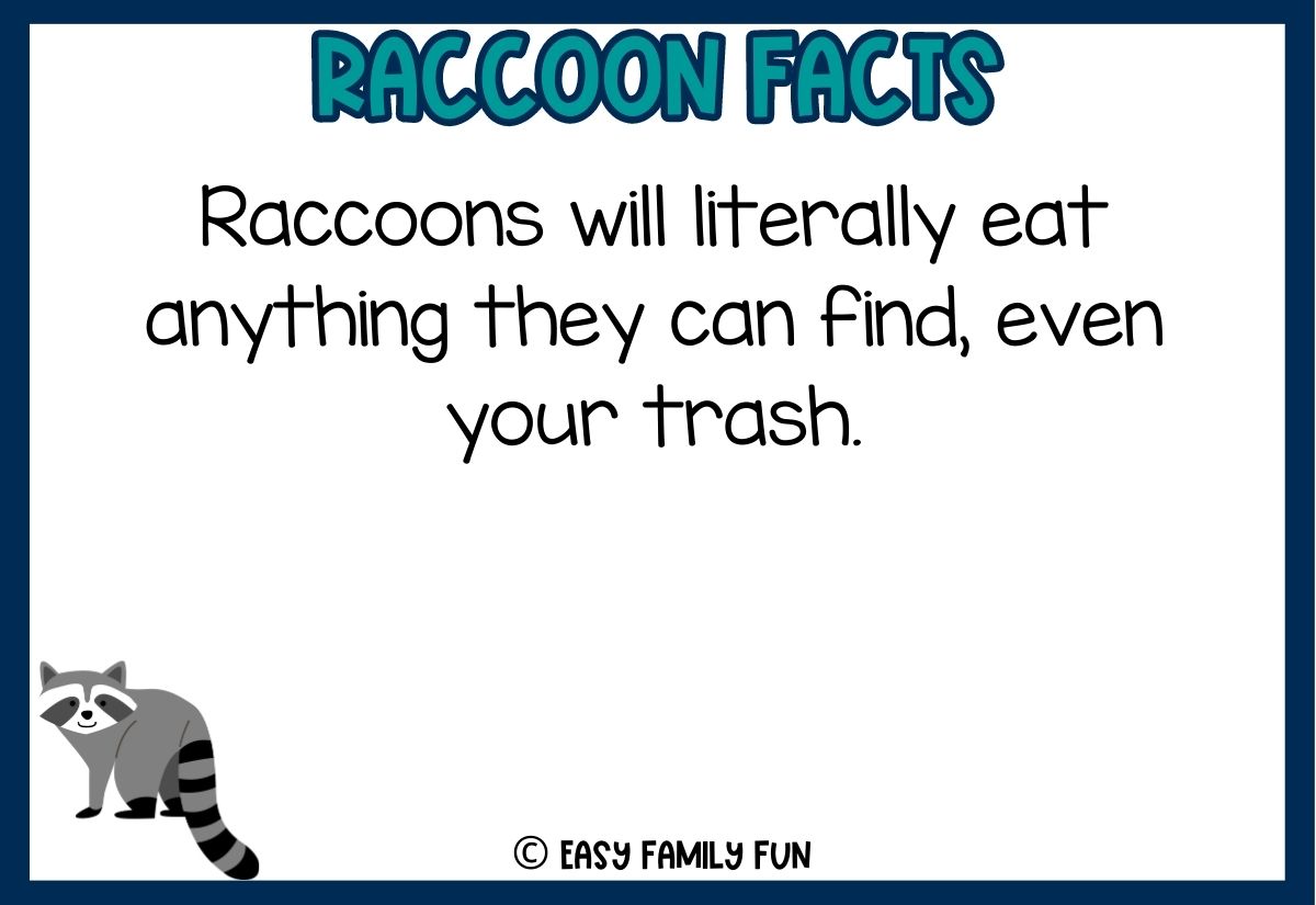 40 Mischievous Facts About Raccoons