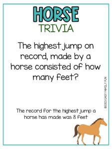 100 Best Horse Trivia Questions and Answers